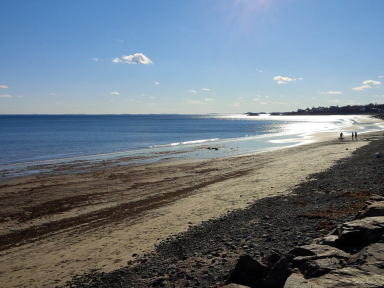 Renewing Psalms: a writing retreat for clergy - Rachel G. Hackenberg