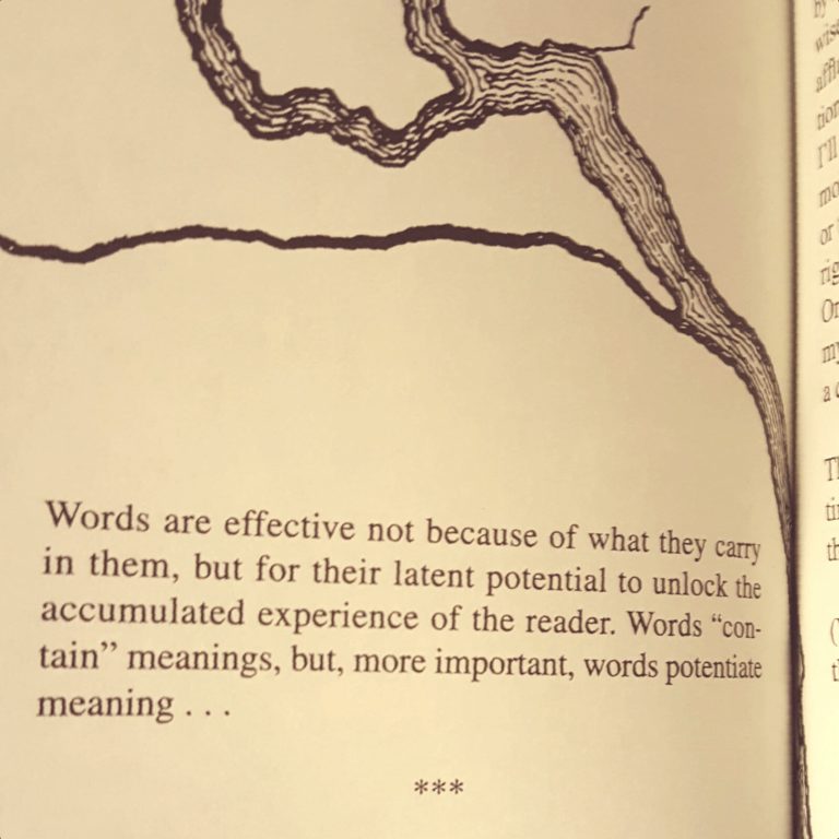 Book Week: What We See When We Read - Rachel G. Hackenberg